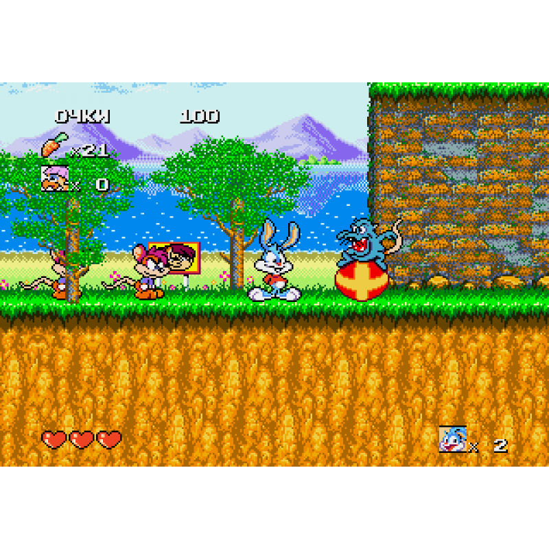 Tiny Toon Adventures. Buster’s Hidden Treasure: сюжет игры, прохождение по уровням с секретами